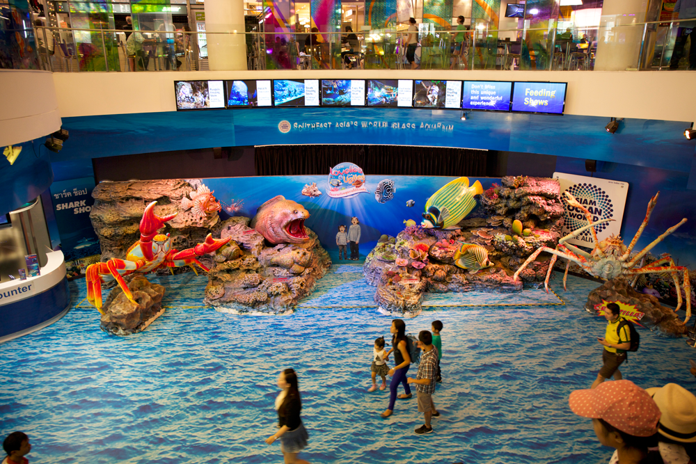 SIAM OCEAN WORLD – THE ROAD AHEAD